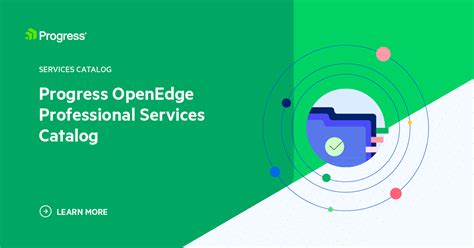 Progress Openedge Professional Services Overview Progress Openedge