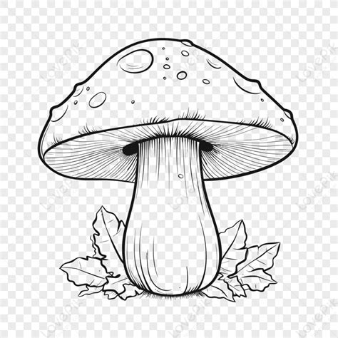 잎 윤곽선 스케치가 있는 자세한 버섯 그리기 벡터두꺼운 선개요 예술 Png 일러스트 무료 다운로드 Lovepik