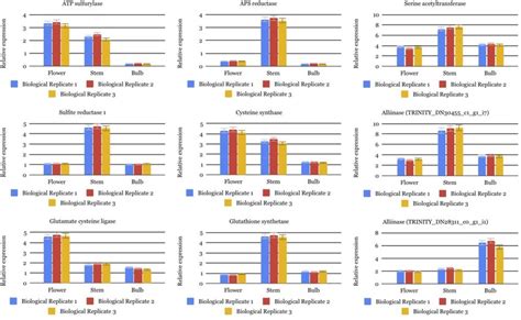 confirmation of the transcriptome sequencing data by quantitative