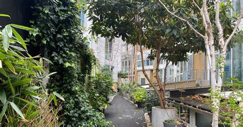 The hidden garden in the heart of London where you can bring your own ...