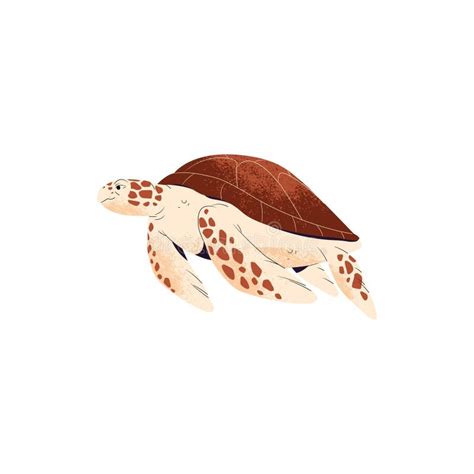 Sea Turtle With Patterned Skin And Shell Old Undersea Amphibian Stock Illustration