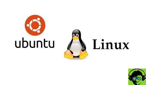 How To Install Curlew The Media Converter For Ubuntu Quick And Easy 🥇