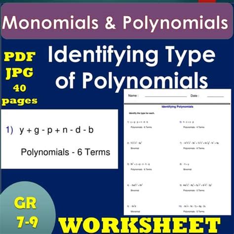 Identifying Type Of Polynomials Monomials And Polynomials Worksheets