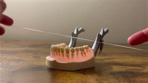 C Shape Flossing Youtube