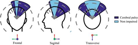 Angular Orientations In Frontal Sagittal And Transverse Planes