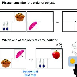 Experimental Paradigm Download Scientific Diagram