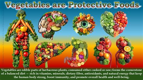 Vegetables The Potential And Protective Foods