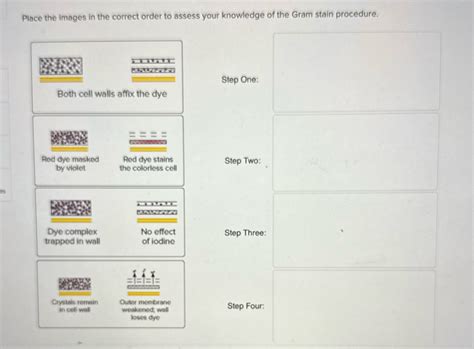 [solved] place the images in the correct order to assess your knowledge