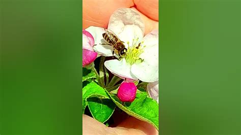 Reverse Videos 😀🙃😀 Youtube