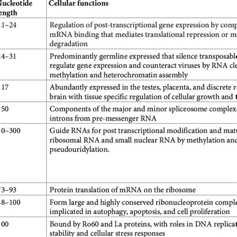 Long Non Coding Rna Biogenesis And Functions Long Non Coding Rnas