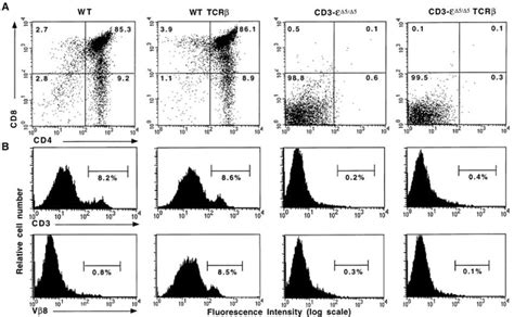 A Transgene Encoding A Productively Rearranged Tcr β Gene Does Not Download Scientific Diagram