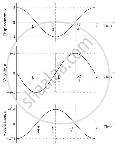 State The Expressions For The Displacement Velocity And Acceleration Draw Performing Linear Shm