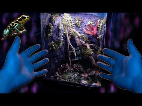Two Hands Holding An Aquarium With A Turtle In It And Another Hand Reaching Out Towards The Fish