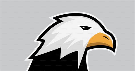 회색 배경에 독수리 머리 벡터 Unsplash의 프레데터 이미지