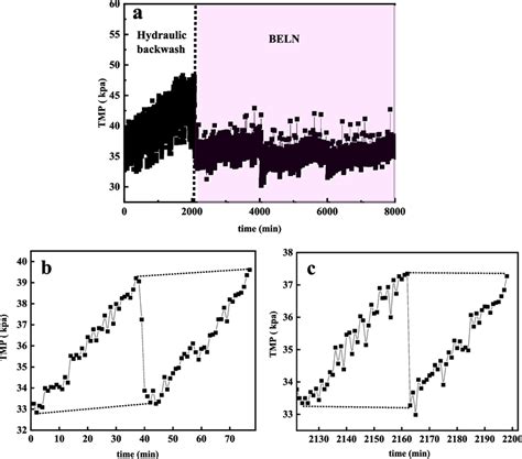 TMP Profiles Of A UF Membrane Process Operation B Hydraulic Download Scientific Diagram