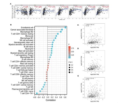 Relationship Between Cd93 And Immune Cells A Cd93 Significantly