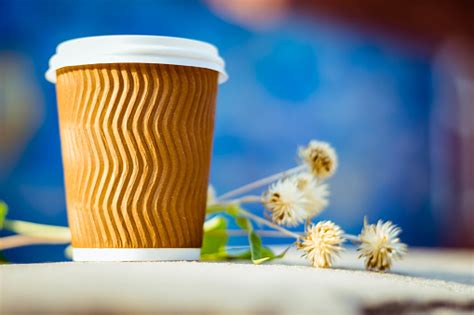 커피와 종이 컵 파란색 배경에 마른 꽃 가벼운 여름 이나 가을 아침 안녕하세요 플라스틱 흰색 뚜껑갈색 종이 컵 0명에 대한 스톡 사진 및 기타 이미지 Istock