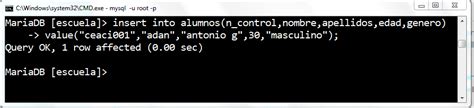 Ceaci 31 ConexiÓn Con La Base De Datos Mysql Desde Java Netbeans Cap 1
