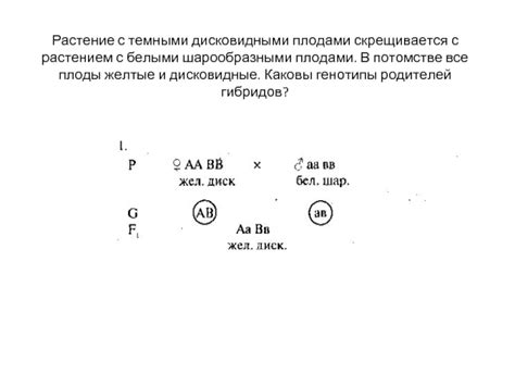 Тыкву имеющую желтые плоды дисковидной формы скрестили с тыквой у которой белые шаровидные плоды