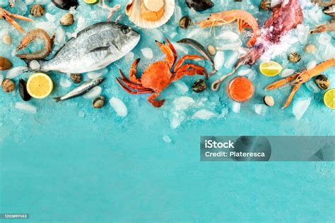 생선과 해산물 복사 공간이있는 플랫 레이 탑 샷 신선한 생선 새우 게 오징어 홍합 조개 가리비 캐비어 파란 배경위에서 촬영 0