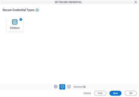 Set Secure Credential Activity