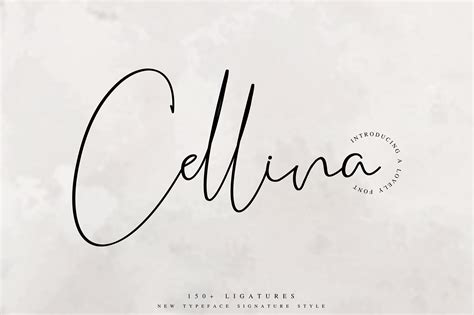 Cellina 2 Images Behance