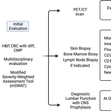 Diagnostic Algorithm For Blastic Plasmacytoid Dendritic Cell Neoplasm Download Scientific