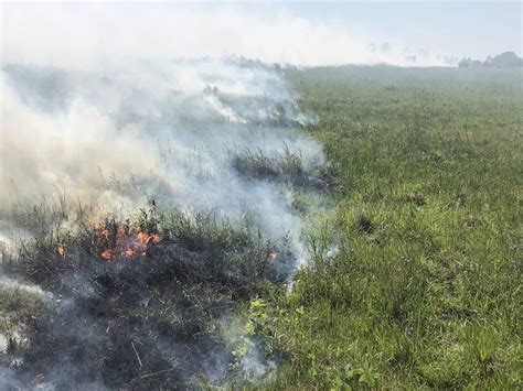 Prescribed Fire Burning Louisiana Native Plant Society