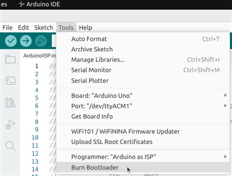 Arduinoisp Arduinofoerungdomar
