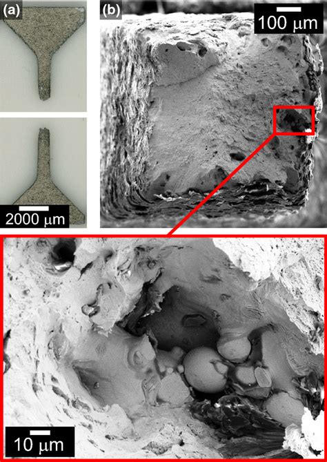 Representative Post Test Tensile Specimen Fracture Shape And Fracture Download Scientific