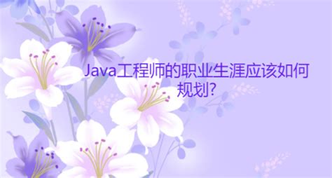 职业发展 网时代教育 专注线上it培训坚守教育品质