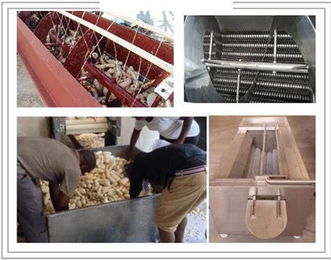 Design And Construction Of A Cassava Peeling Machine Industry News