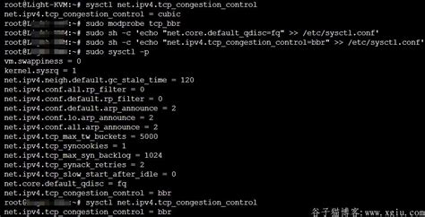 如何在debian 12 11 10中启用bbr改善网络网速 随着互联网使用量的持续增长，拥有快速可靠的网络至关重要。实现这一目标的一种方法