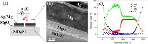 Magnetic Field Controllable Nonvolatile Resistive Switching Effect In