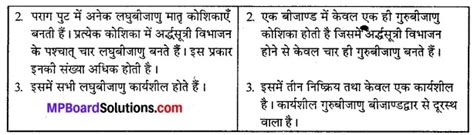 MP Board Class th Biology Solutions Chapter पषप पदप म लगक परजनन MP Board Solutions