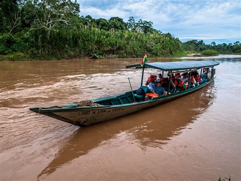 Jaguar Spotting In Amazon Rainforest Peru Andean Trails