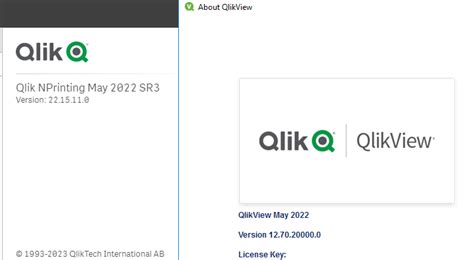 Pivot Table Formatting In Qlik Nprinting Qlik Community 2040368