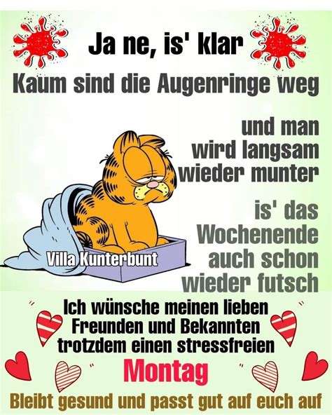 Pin By Claudia P On Wochentage Garfield Memes Ecards