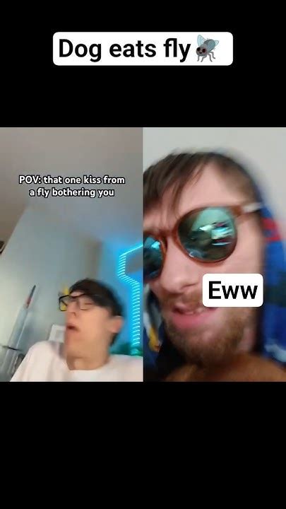 🪰 Flies For No Reason Shorts Relatable Memes Flies Trendingshorts