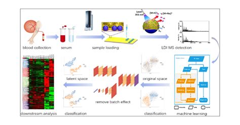 Deep Learning Framework For Integrating Multibatch Calibration Classification And Pathway