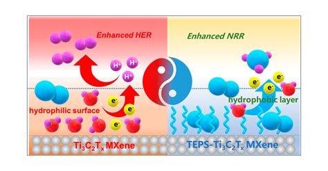 Microenvironment Regulation Of The Ti3c2tx Mxene Surface For Enhanced