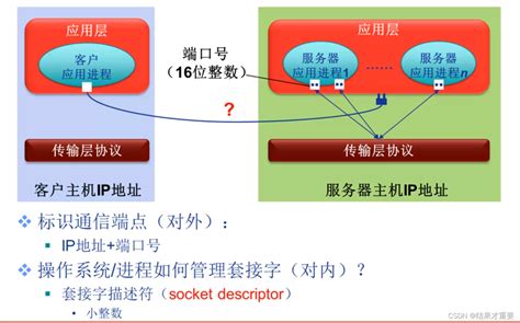 Socket编程 应用编程接口（api） 套接字（及其函数介绍）socket Api Csdn博客