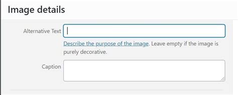How To Utilize Alt Text For Images To Boost Your SEO