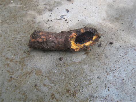 Simply Resourceful Propagating Plants Gathering Roots And Digging Up Bulbs