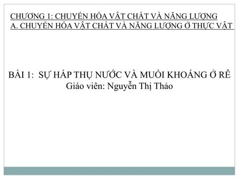 PPT Sinh học lớp Bài Sự hấp thụ nước và muối khoáng ở rễ PowerPoint Presentation ID