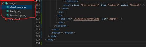 Troubleshooting Broken Image And CSS Issues On GitHub Pages DEV Community