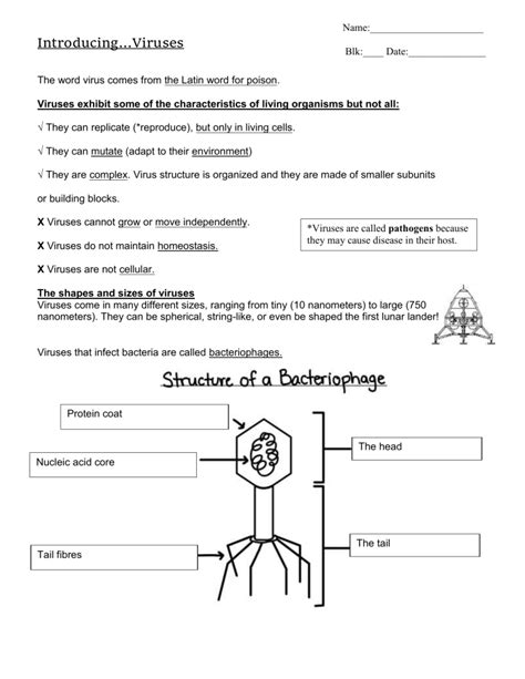 Introducing Viruses Structure Characteristics Worksheet