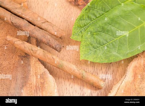 Tobacco Leaves And Tobacco Nicotiana Tabacum Stock Photo Alamy