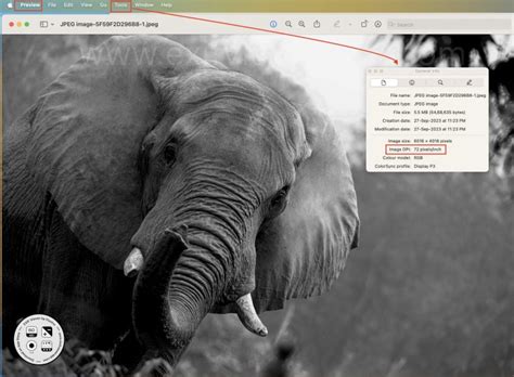 How To Check The DPI Of An Image On Different Platforms EXIF Viewer By Fluntro