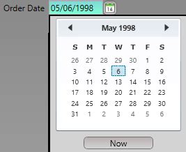 WPF Data Entry Controls RingSoft